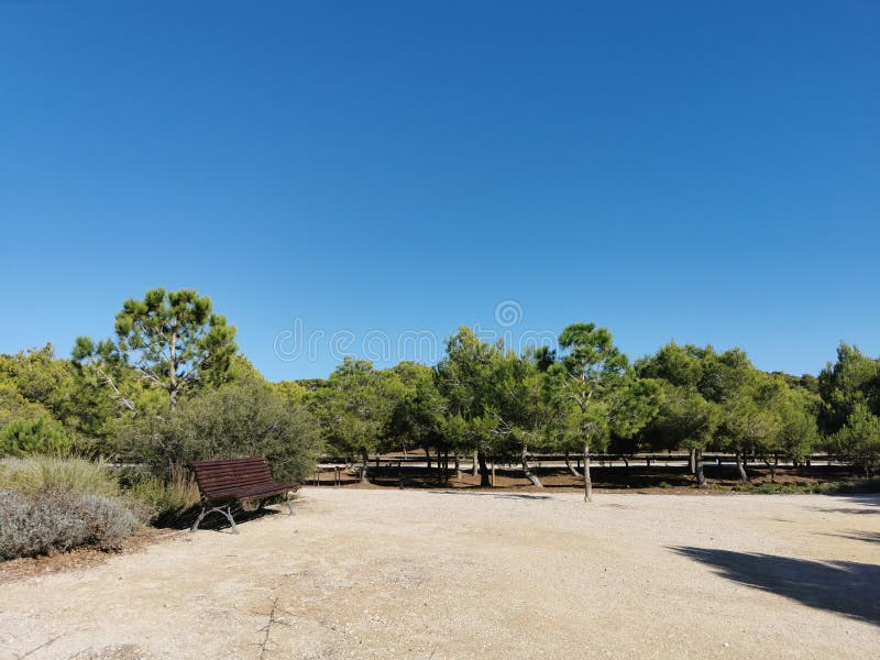 Long Walk, a Path in the Park Stock Image - Image of urban, destination ...