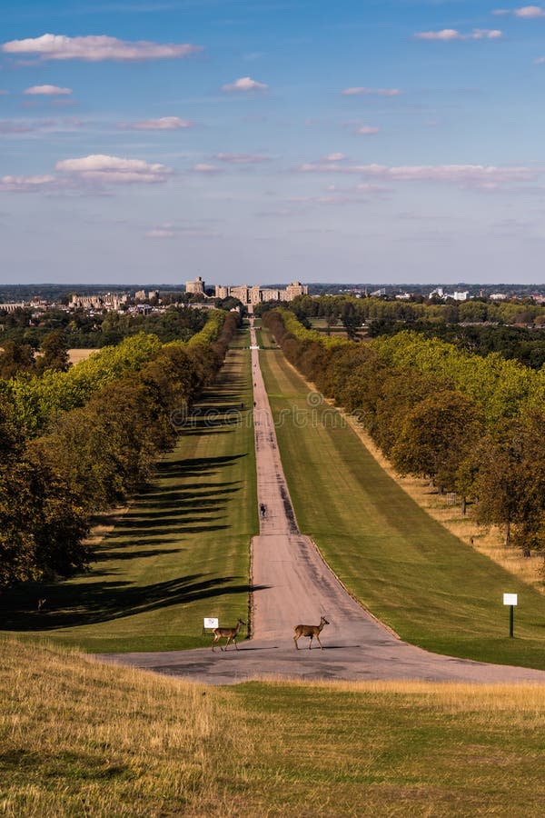 UK - Windsor Castle - the Long Walk Stock Image - Image of impressive ...