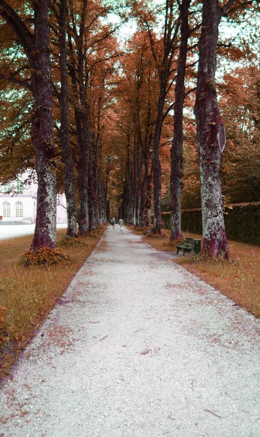 Long walk way in spring stock image. Image of long, high - 21825945