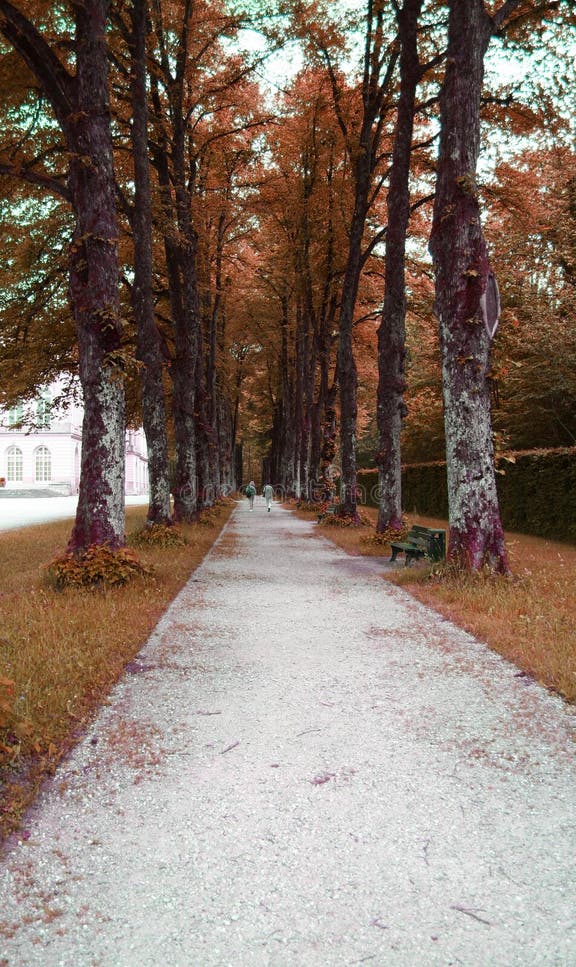 Long walk way in spring stock image. Image of long, high - 21825945