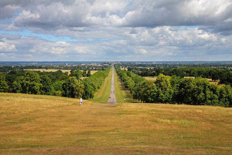The Long Walk in Windsor Great Park Stock Photo - Image of chestnut ...