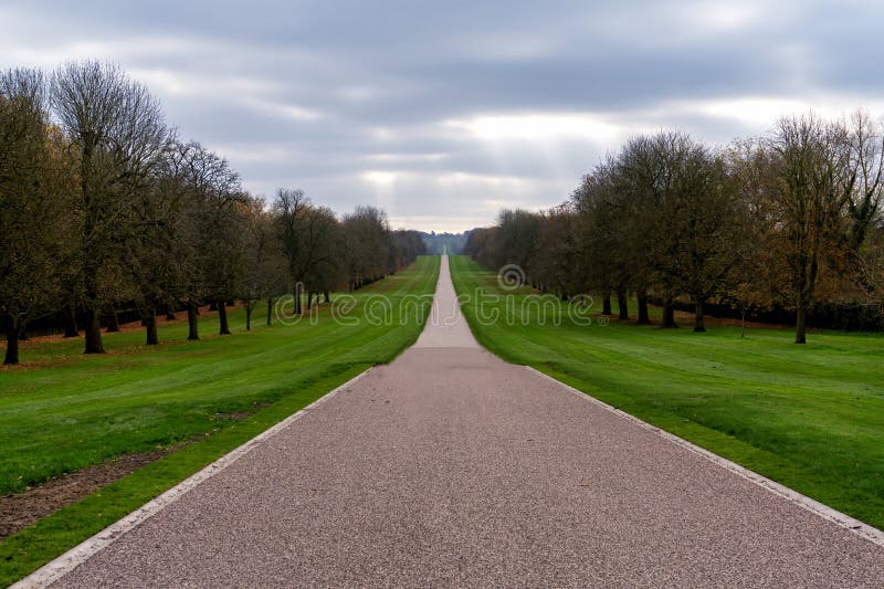 The Long Walk in Windsor Great Park, Berkshire Stock Image - Image of ...
