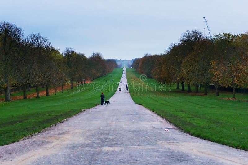 The Long Walk at Windsor, UK Editorial Image - Image of autumn ...