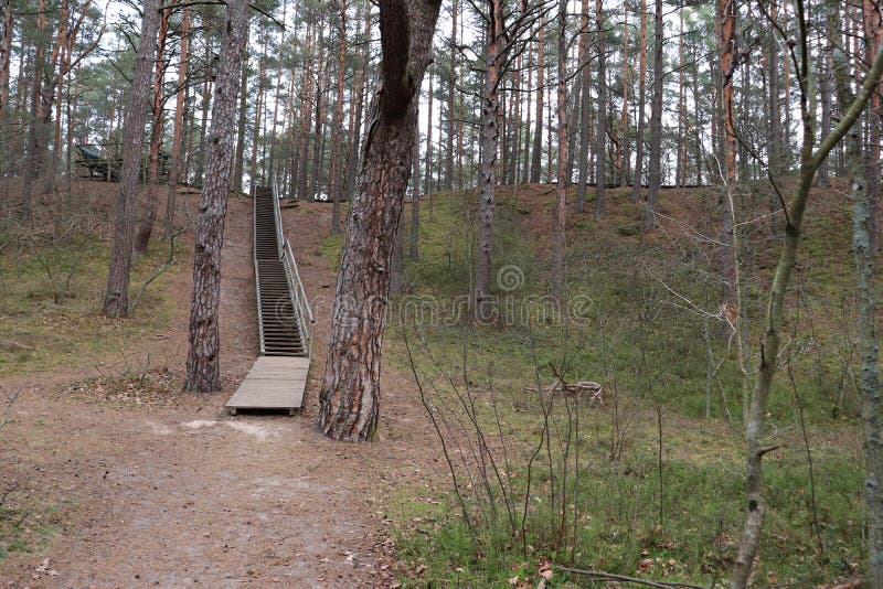 Long Walking Path Stairs for Walking in the Woods among the Dunes Stock ...
