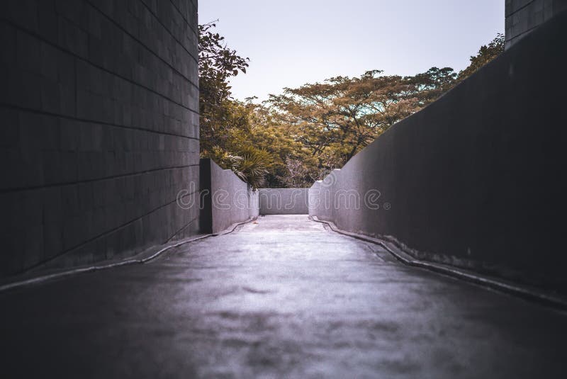 Long Walkway on a Modern Building Side Stock Photo - Image of nature ...