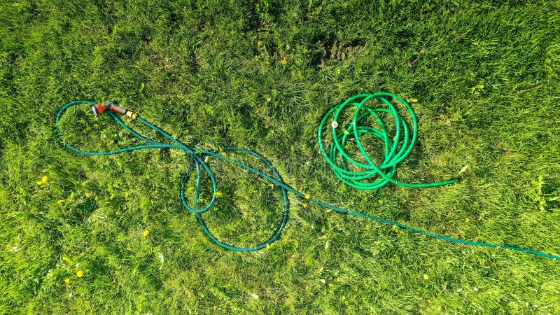 Long Water Hose in the Grass on the Lawn Stock Image - Image of natural ...