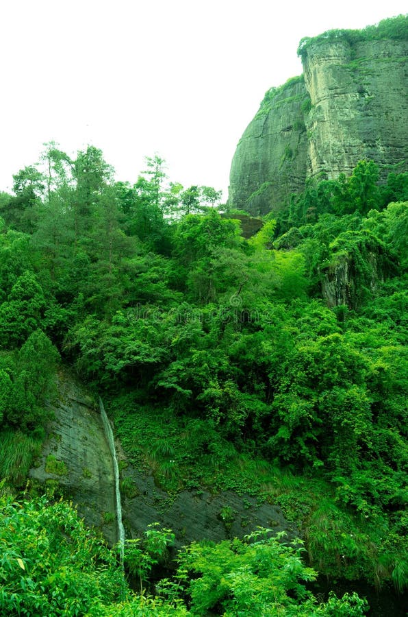 A Long Waterfall Flowing Down into a Lush Green Forest Filled with ...