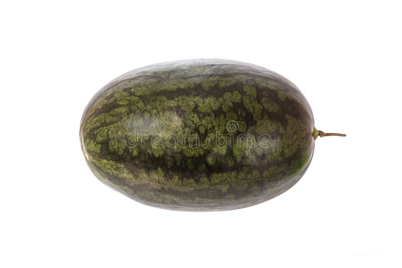 Long watermelon stock image. Image of healthy, green - 39758077