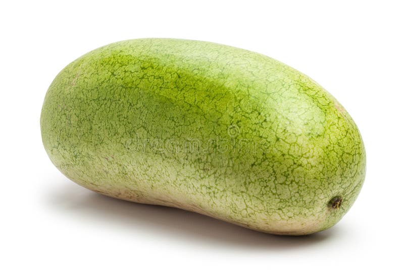 Long watermelon stock image. Image of green, studio, delicious - 57950305