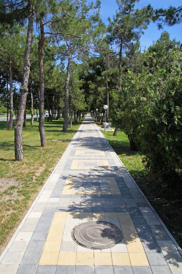 Long way stock image. Image of branches, long, pavement - 13102577