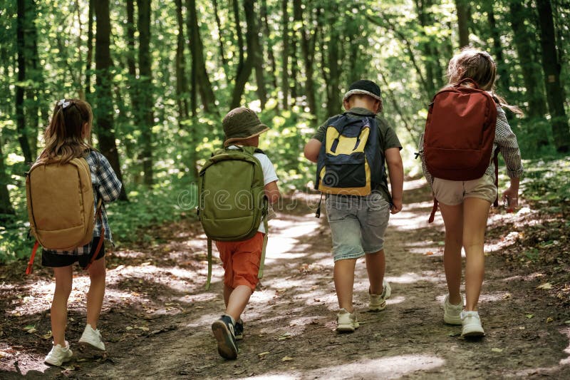 Long Way, Exploring. Kids in Forest at Summer Daytime Together Stock ...