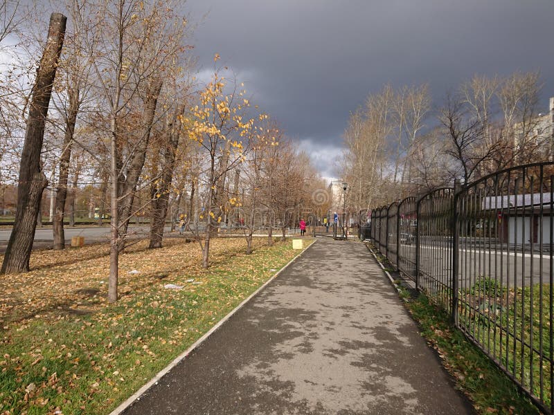 Long way stock photo. Image of tree, long, fallow - 163766578