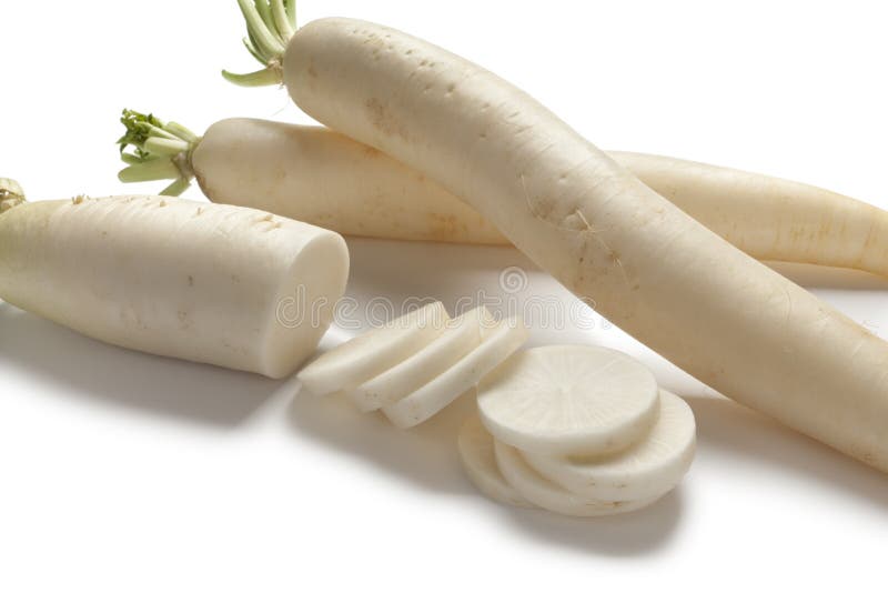 Long white Radish stock image. Image of fresh, studio - 30138467