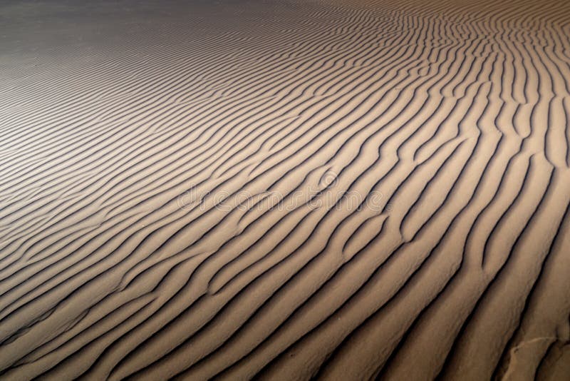 Long Wind Formed Ripples with Shadow Defined Edges in Dunes of H Stock ...