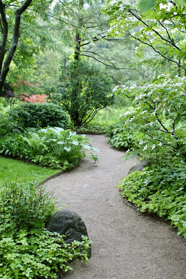 Long and Winding Path stock image. Image of hosta, foliage - 273061341