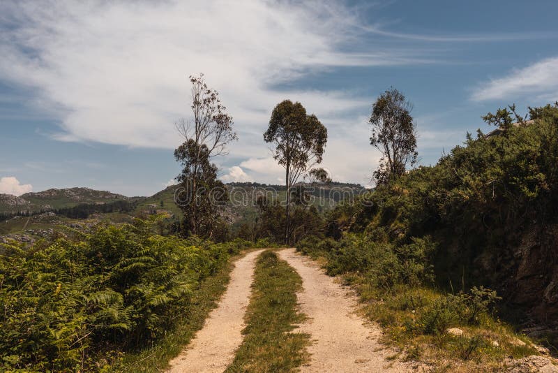 Long and Winding Rural Path Crosses the Hills at the Sunset Stock Image ...