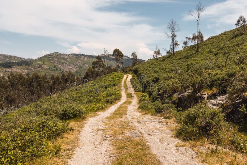Long Winding Road Leading through a Forested Mountains Stock Photo ...
