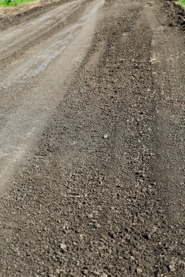 Long Winding Rural Trail Along Green Grass in Summer Stock Photo ...