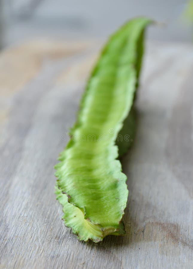 Long Wing Bean on Wooden Board Stock Image - Image of agriculture ...