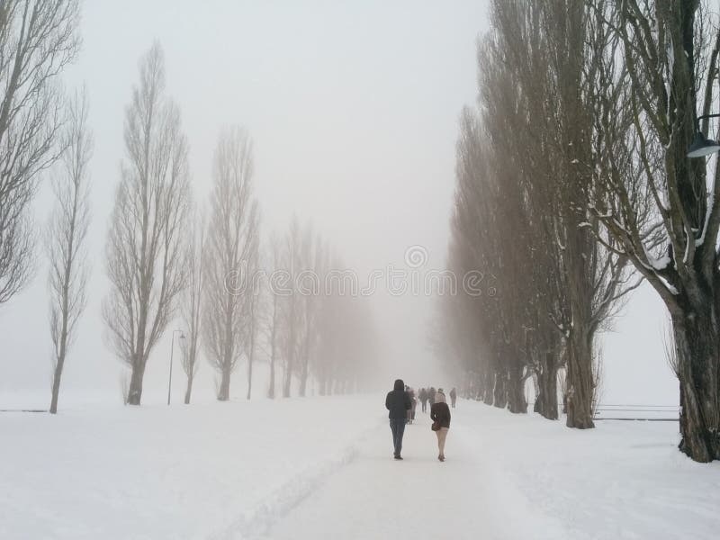 A long winter walk editorial stock photo. Image of winter - 55313803