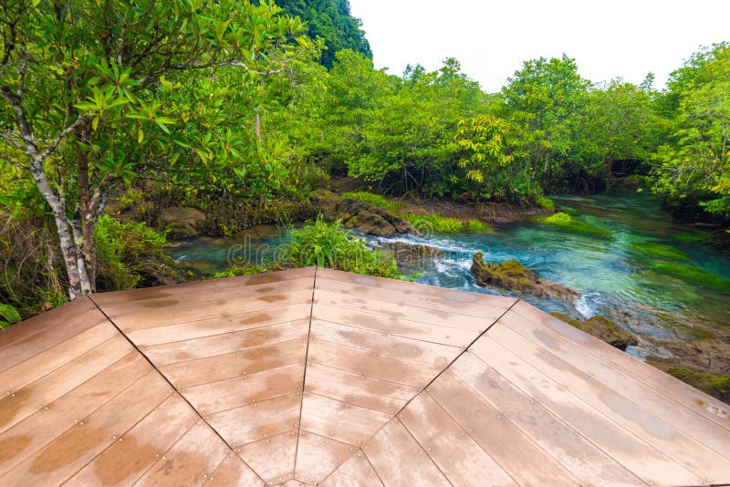 Long Wood Pathway in Mangrove Forest Stock Image - Image of business ...