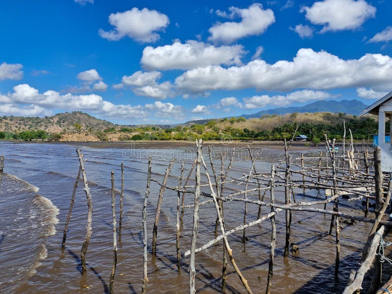 Long Wooden Beams Arranged on a Beach Stock Photo - Image of seafood ...