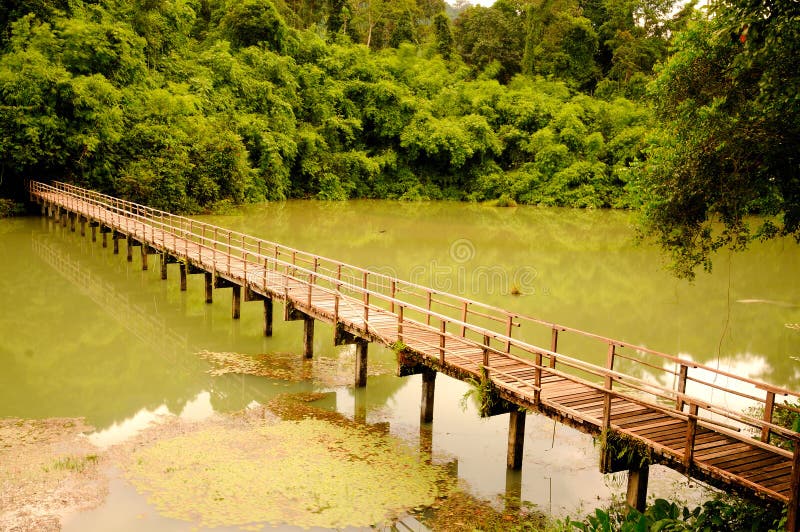 A Long Wooden Foot Bridge in a Park Stock Photo - Image of adventure ...