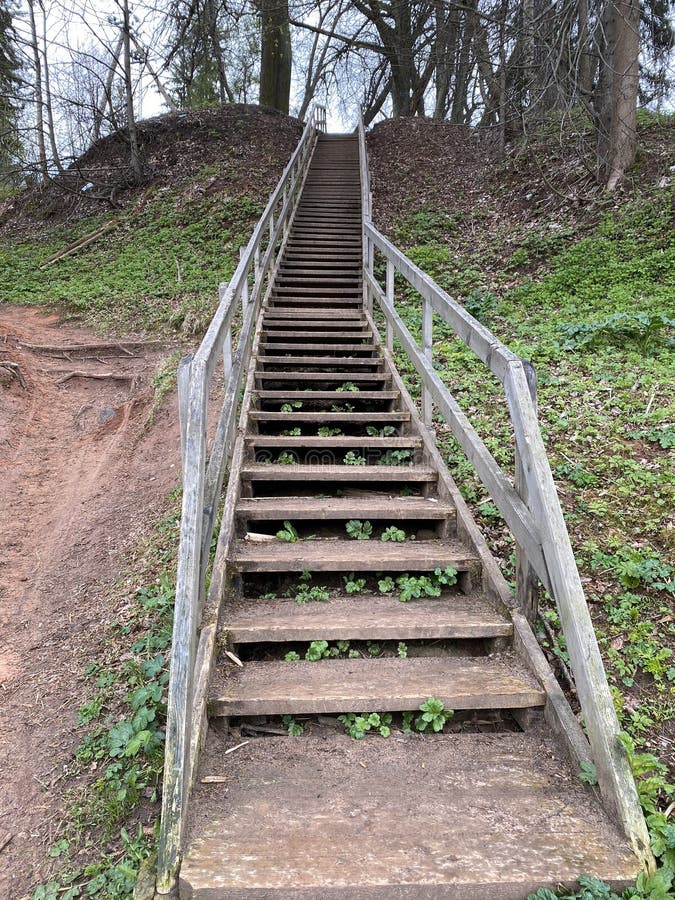 Long Wooden Stairs in the Park Stock Image - Image of wild, green ...