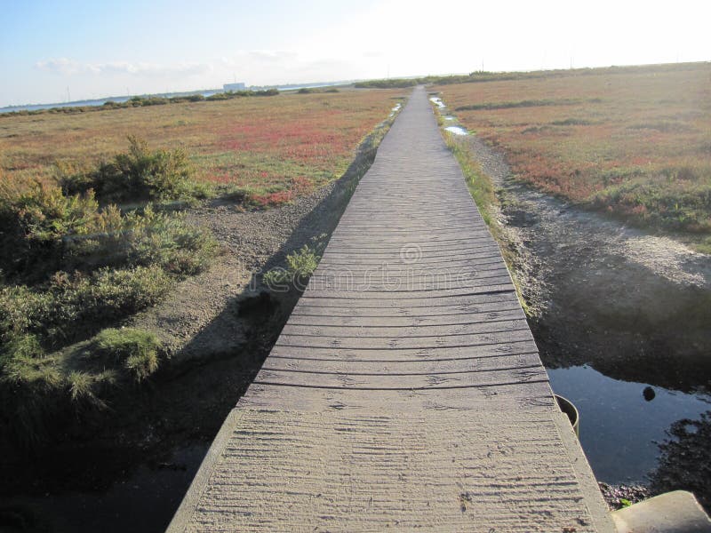 Long Jetty stock image. Image of woodland, long, water - 129439705