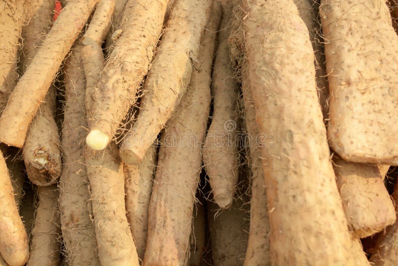 Stacked Long Yam Stock Photos - Free & Royalty-Free Stock Photos from ...