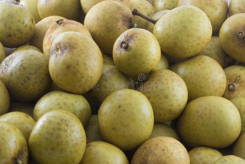 Longan stock photo. Image of tropical, fruit, ingredient - 1210778