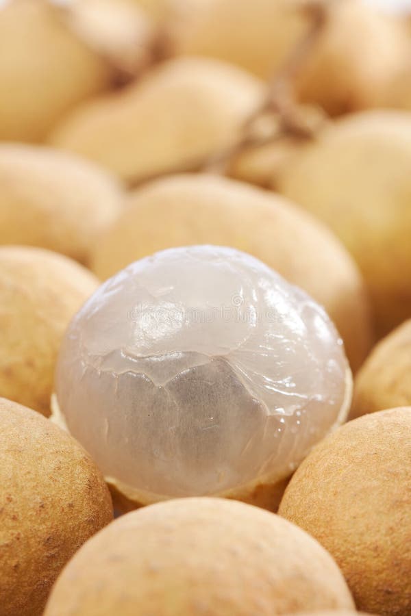 Longan stock photo. Image of sweet, healthy, round, juicy - 26439102