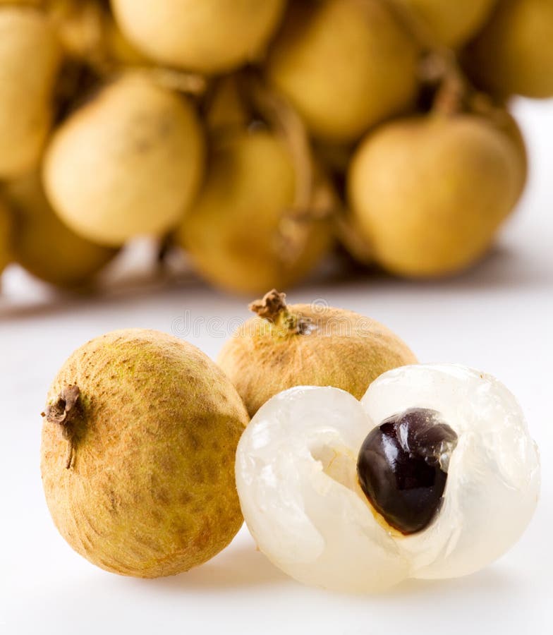 Longan stock image. Image of climate, tropical, seed, ingredient - 9958679