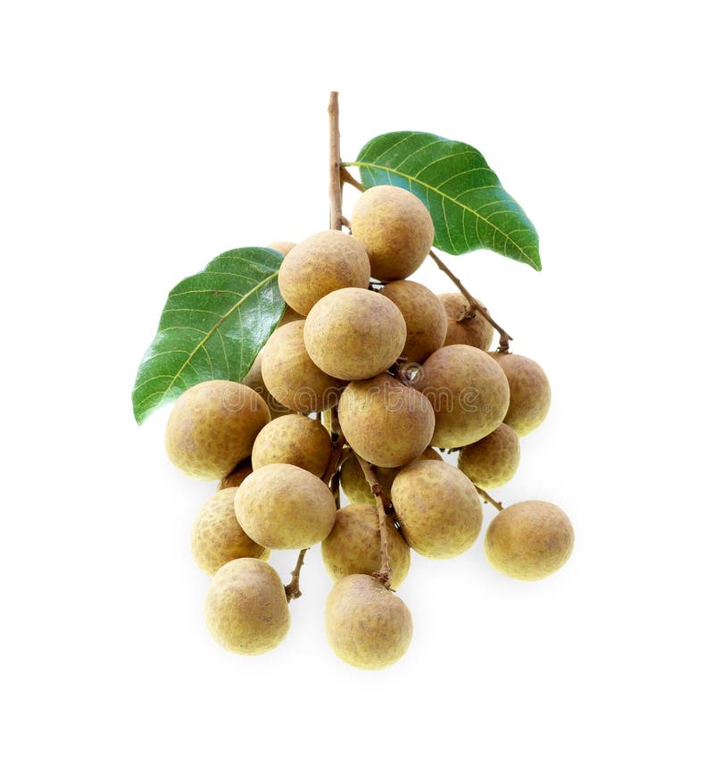 Asian fruit rambutan stock image. Image of exotic, diet - 31285945