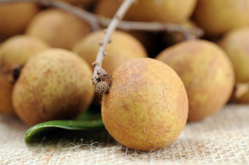 Longan stock photo. Image of bunch, freshness, gourmet - 33423786