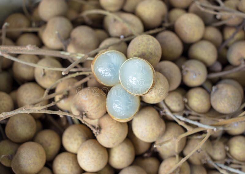 Longan Fresh Dimocarpus Longan. a Bunch of Longan in Soft Focus ...