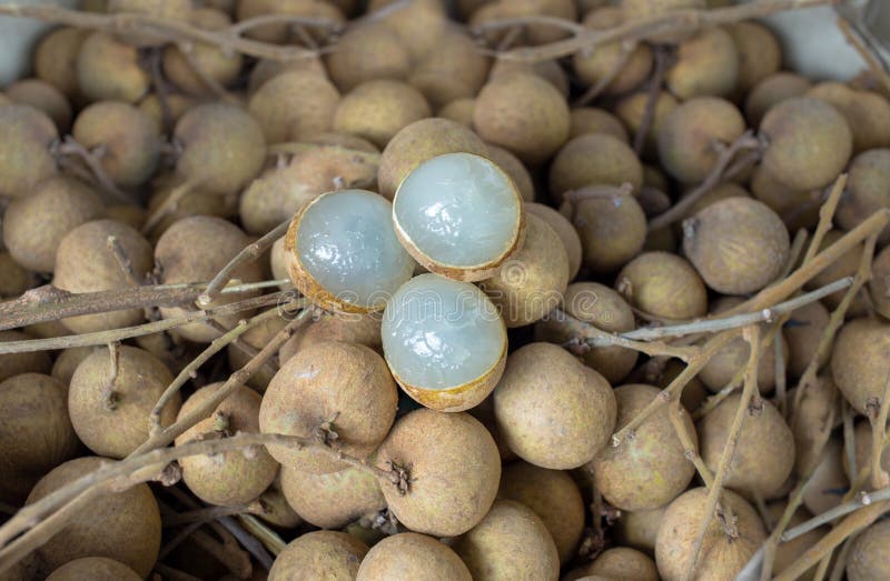 Longan Fresh Dimocarpus Longan. a Bunch of Longan in Soft Focus ...