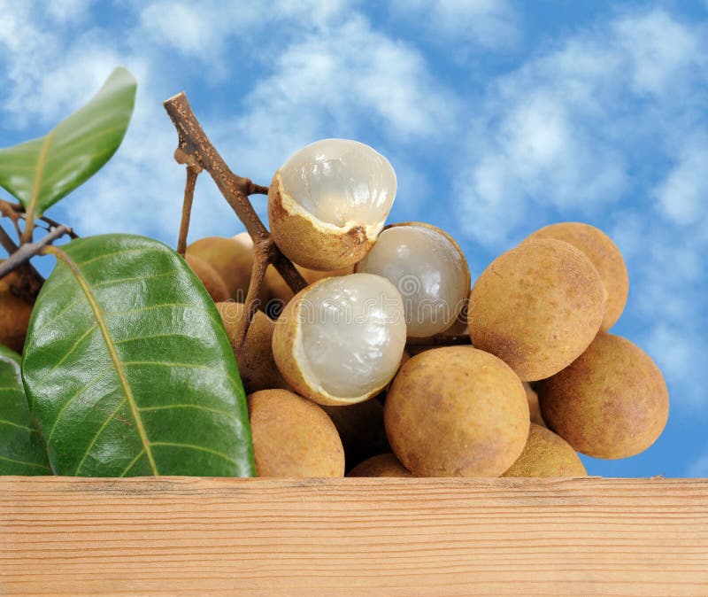 Longan fruit stock photo. Image of closeup, healthy, gourmet - 33423794