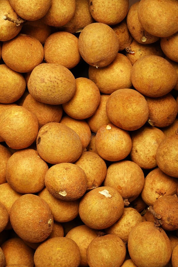 Texture longan fruit stock image. Image of longan, group - 134345845