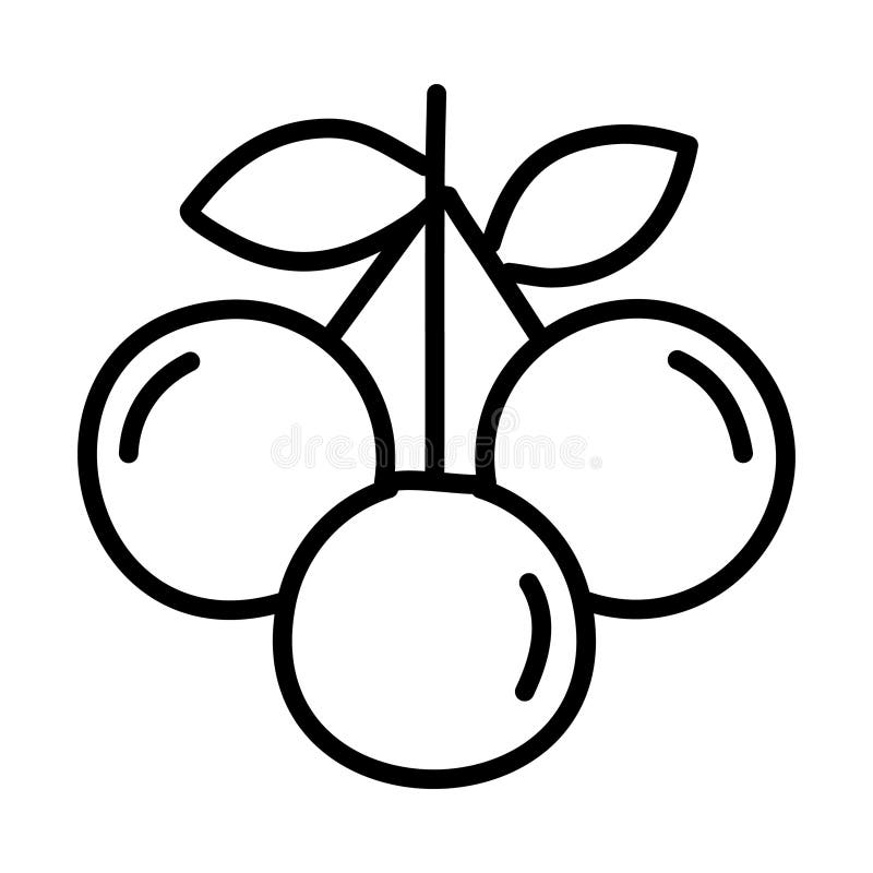 Longan Fruit Icon Over White Background, Line Style, Vector ...