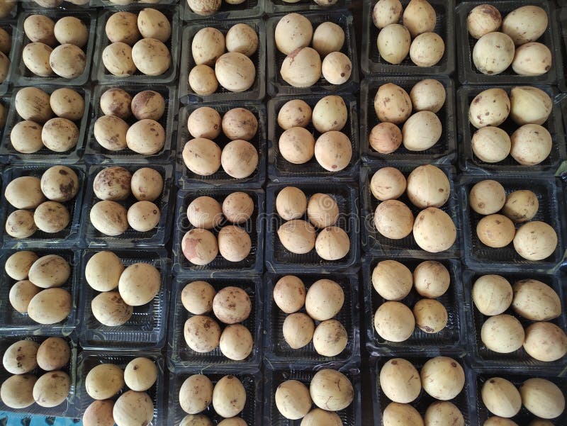 Longan Fruit Produced in Java. Stock Image - Image of produced, java: 298543285