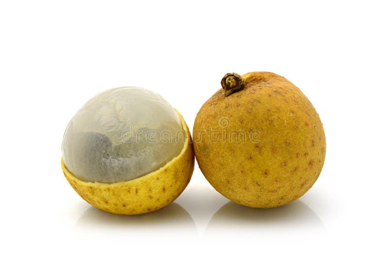 White Longan Fruit Matalada Variety Stock Photo - Image of creek ...