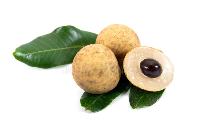 Longan Isolate on the Background Fruit. Peel Off Longan Fruit with Leaf ...