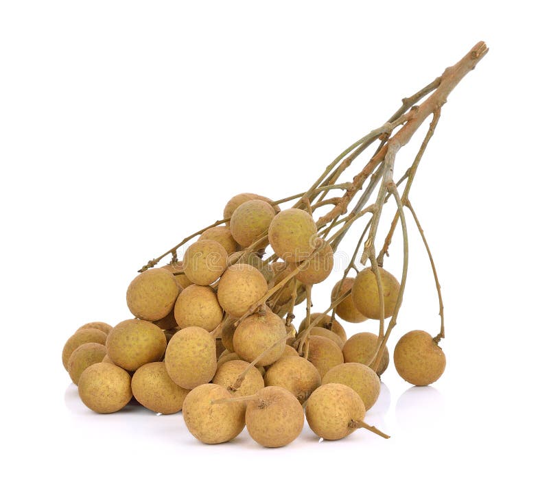 Longan Isolated on White Background Stock Image - Image of longan ...