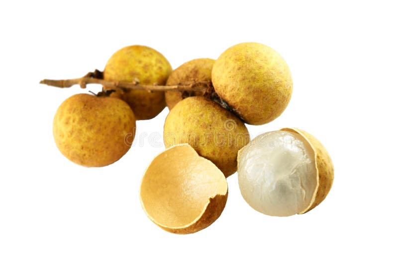 Longan, LamYai - Thai Fruit Isolated on White Stock Image - Image of ...