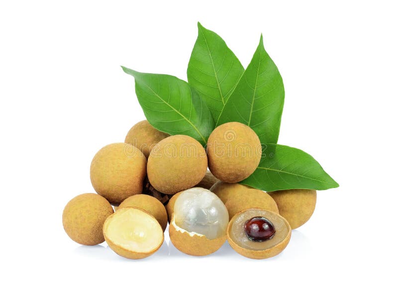 Longan with Leaf Isolated Isolated on White Background Stock Photo ...