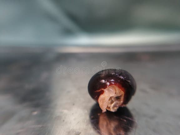 Longan seeds on the table stock image. Image of fruit - 387506585