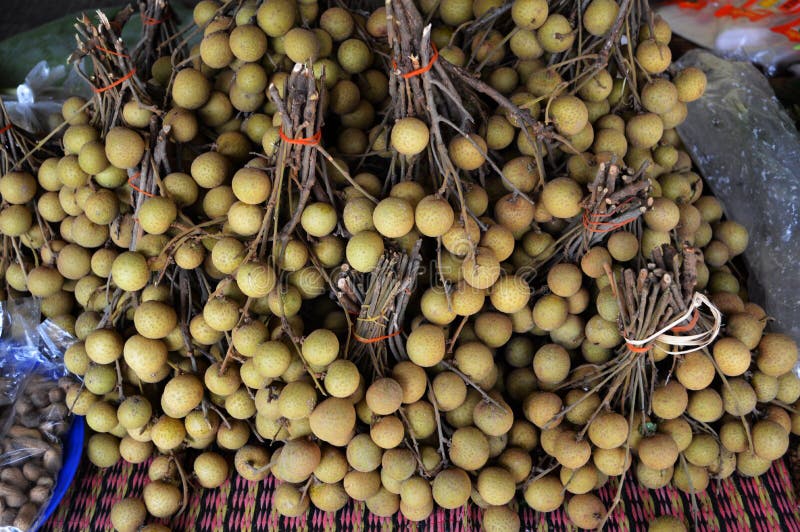 Longan stock image. Image of lychees, rambutan, chinatown - 42265769