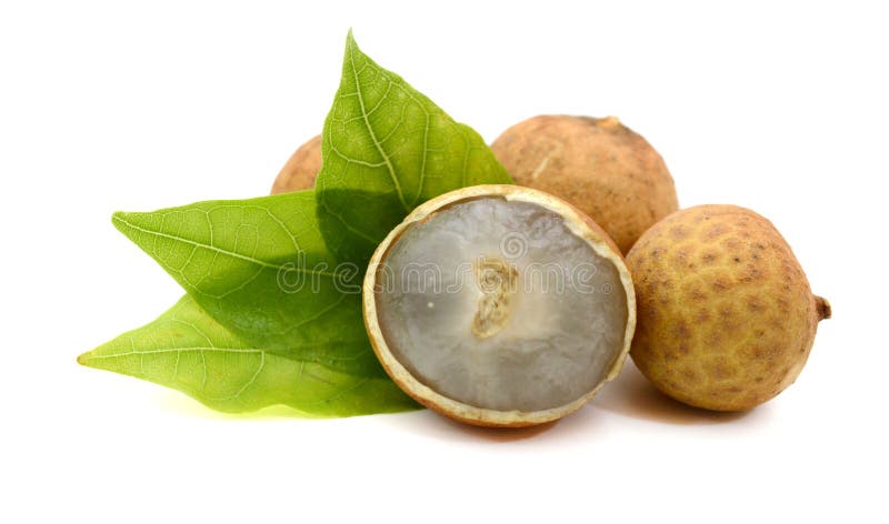 Longan Fruit on White. stock photo. Image of lychee - 169960300