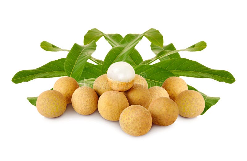 Fruits, Longan on a White Background Stock Photo - Image of healthy ...